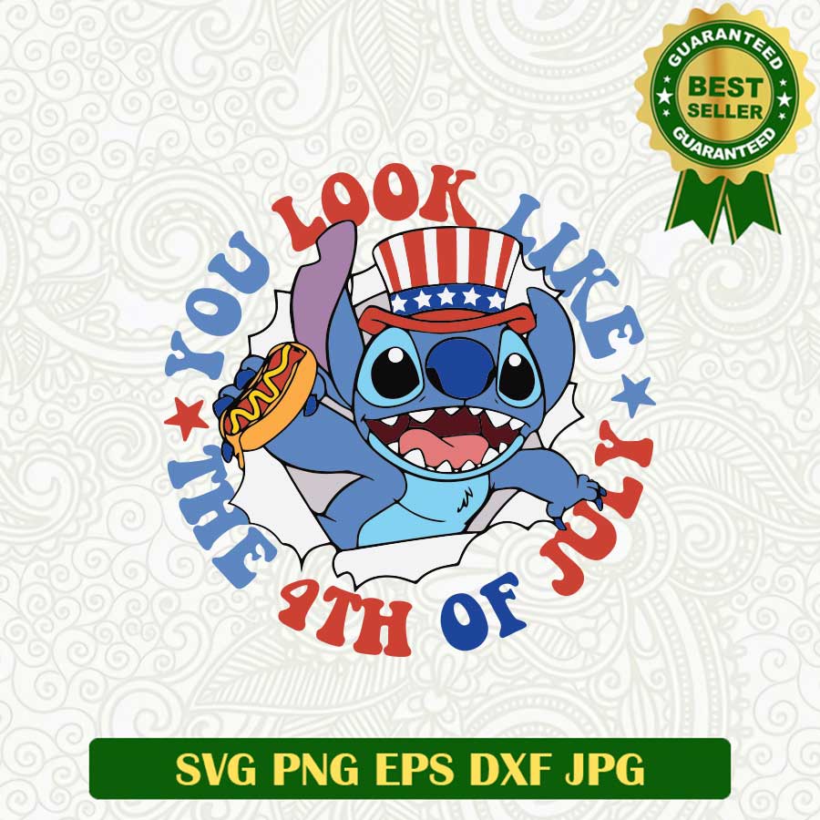 You look Like The 4th Of July Stitch SVG, Stitch America SVG PNG ...